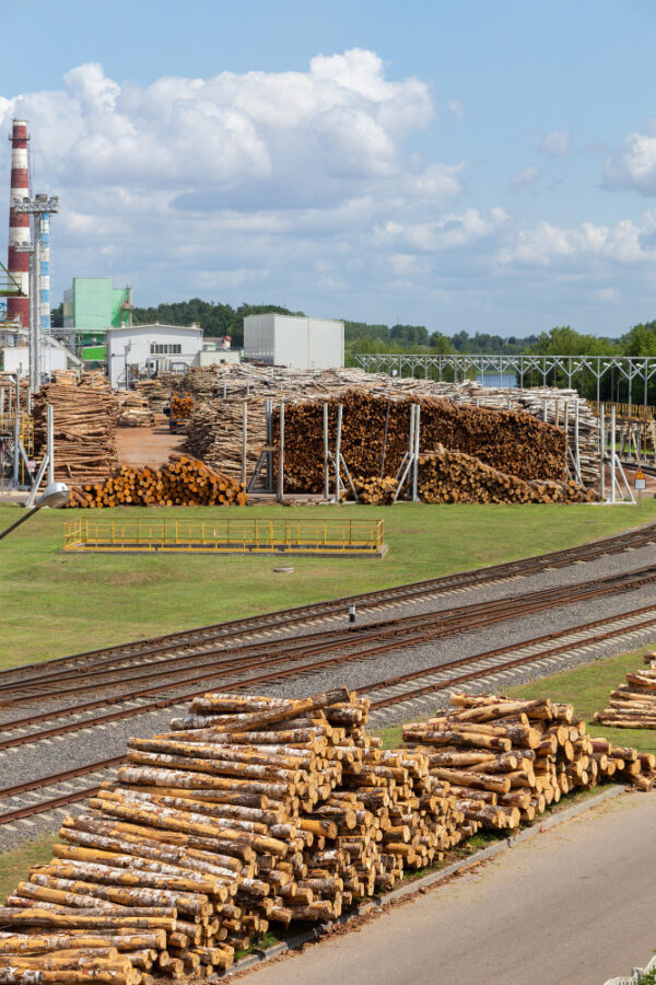 Forestry and Logging Industry - flux